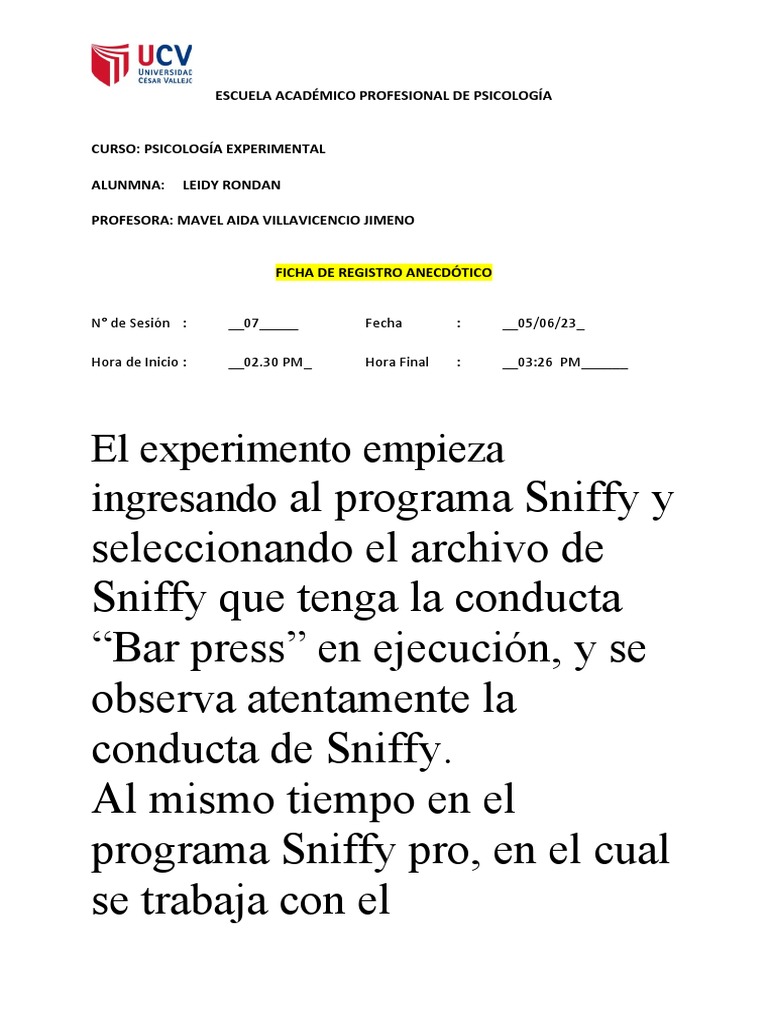 Informe Sniffy 07 | PDF
