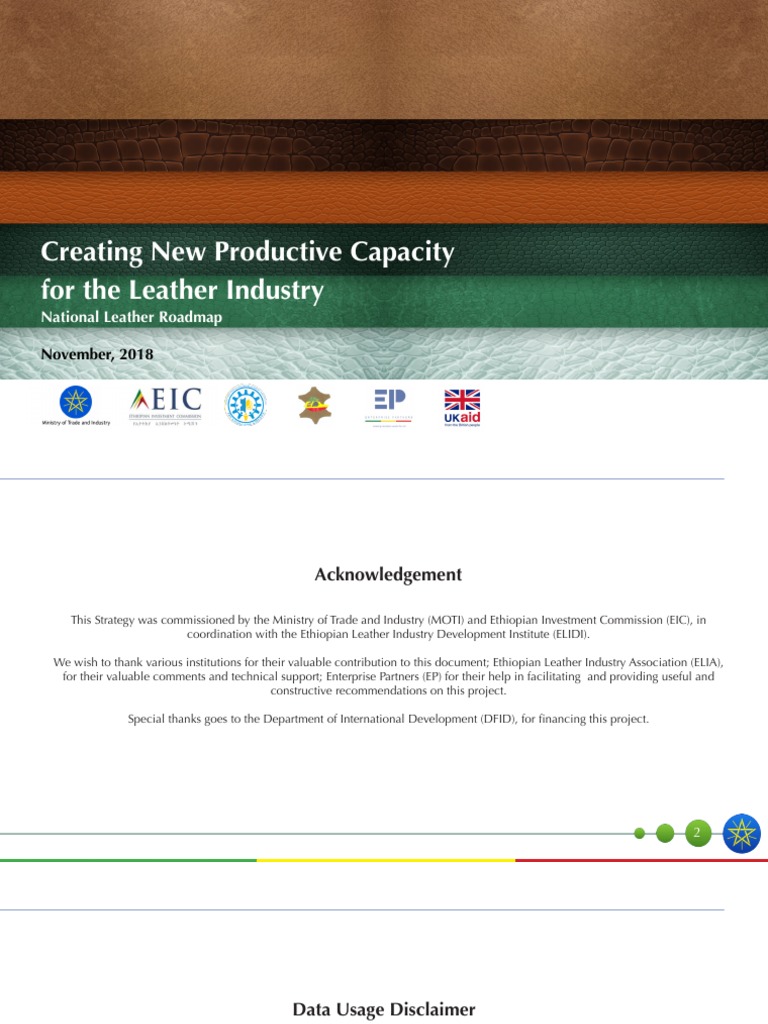 Creating New Productive Capacity For The Leather Industry - National ...