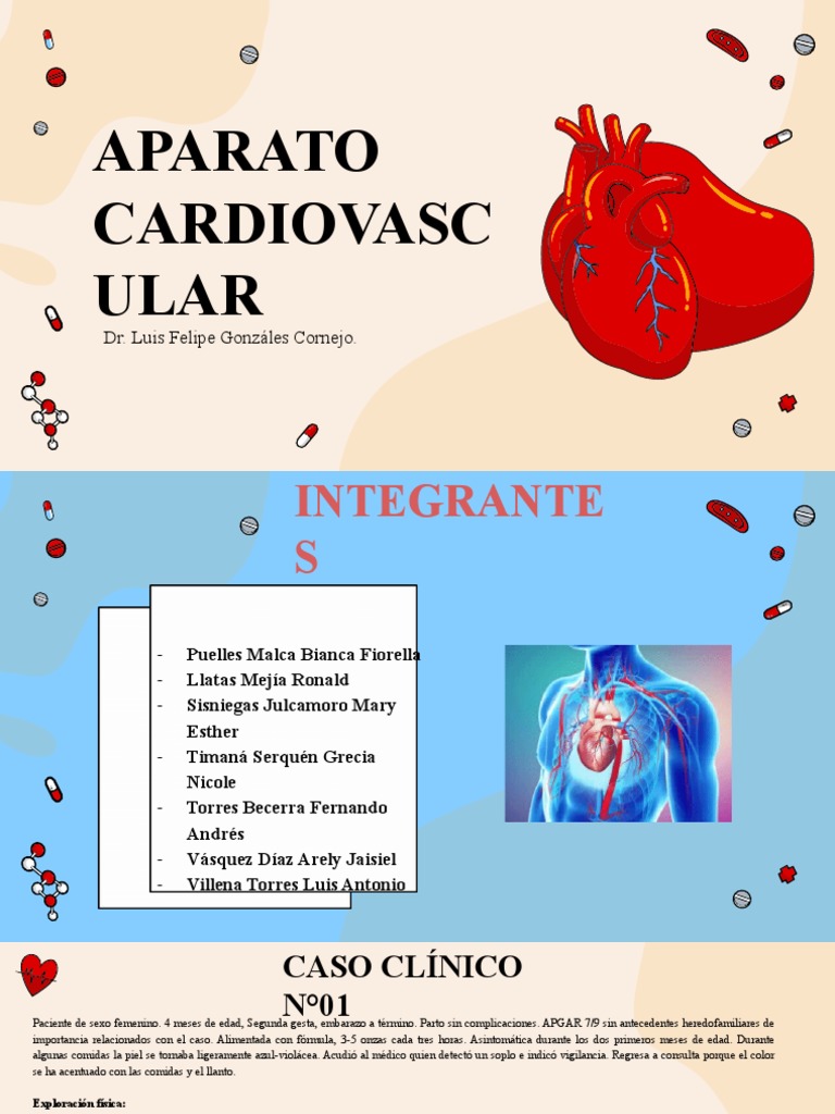 Caso 3 Embrio | PDF | Ventrículo (corazón) | Aorta