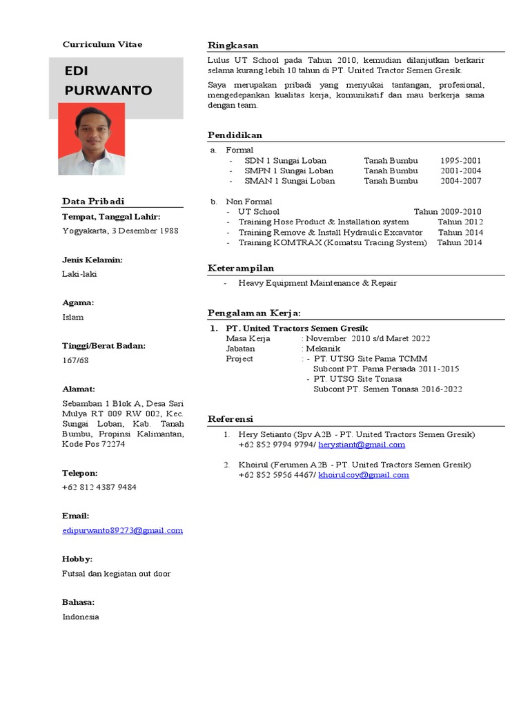Curriculum Vitae FIX | PDF