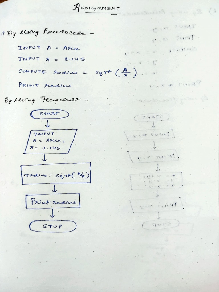 Cds Assignment Algorithm Flowchart Pdf 9698