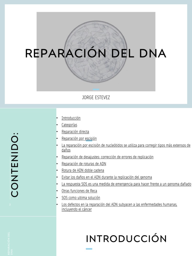 Reparación Del DNA | PDF | Reparación de adn | Adn