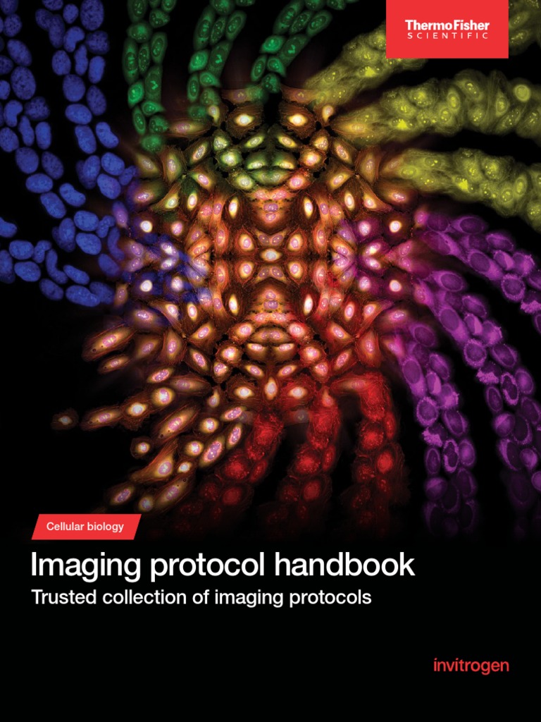 Imaging Protocol Handbook | PDF | Immunohistochemistry | Staining