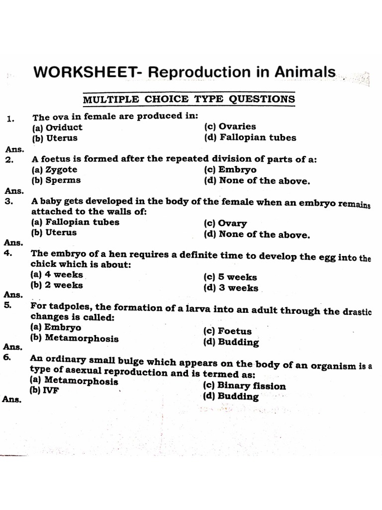 WORKSHEET - Reproduction in Animals | PDF