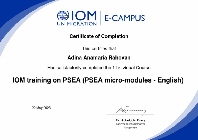 IOM Training On PSEA Adina | PDF