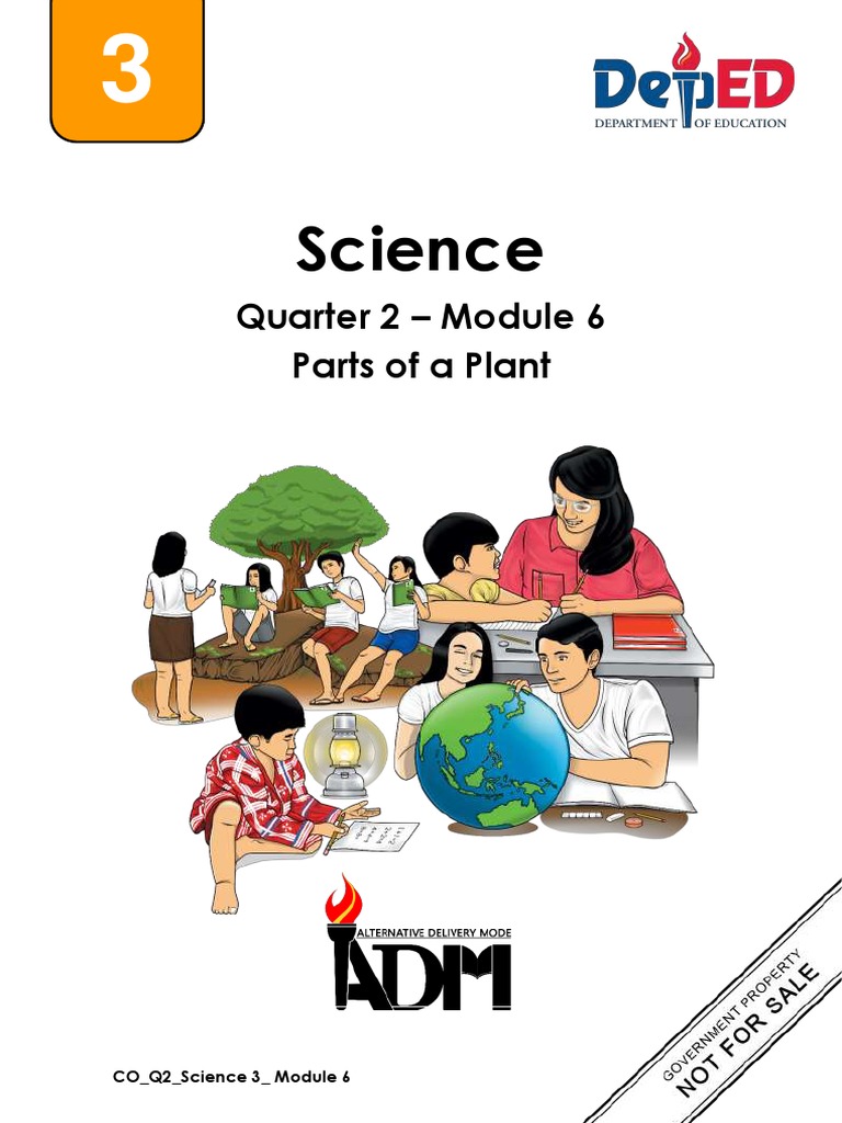 Science3 Q2 Mod6 Parts-Of-The-Plants Ver.2-1 | PDF | Fruit | Flowers