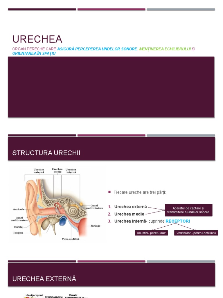 Urechea | PDF