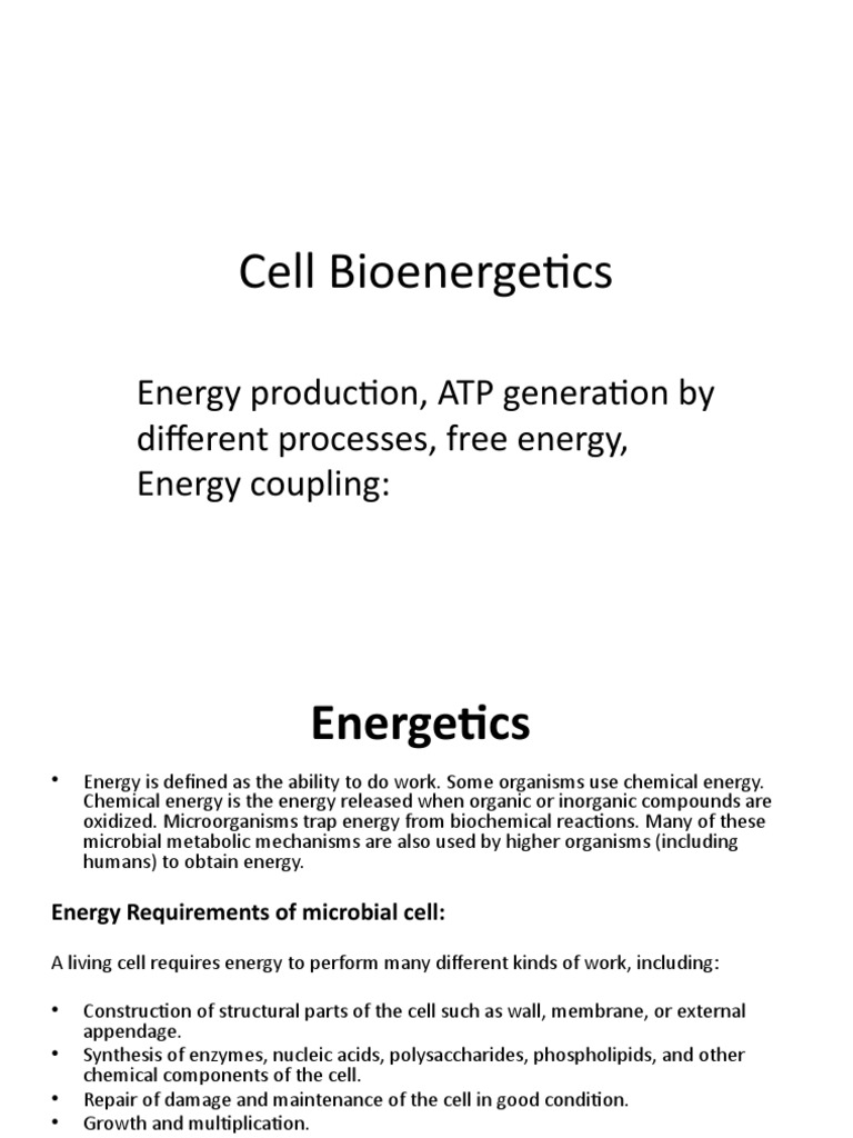 Understanding Cell Bioenergetics | PDF | Electron Transport Chain ...