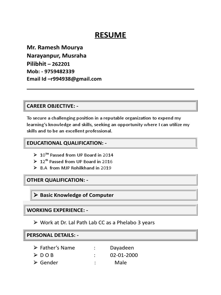 Ramesh Resume | PDF