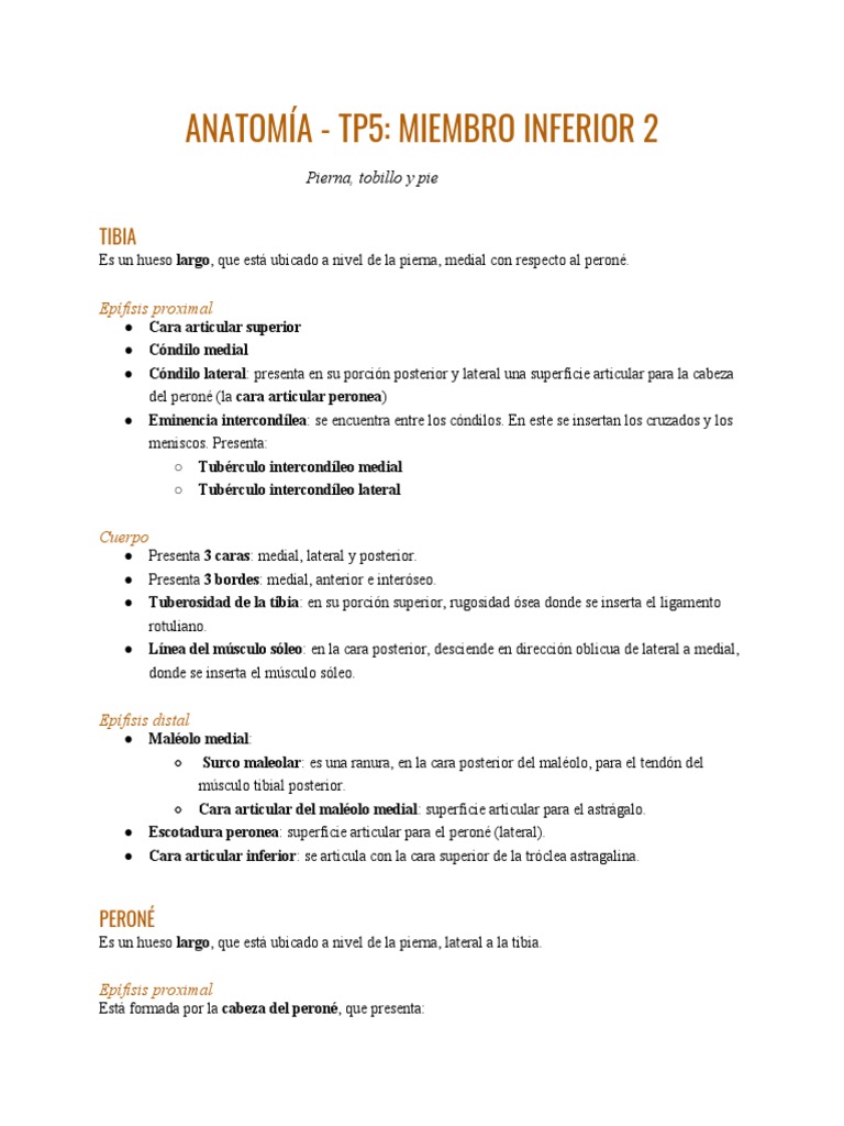 Anatomía - TP5 - Miembro Inferior 2 | PDF | Sistema esquelético | Anatomía humana