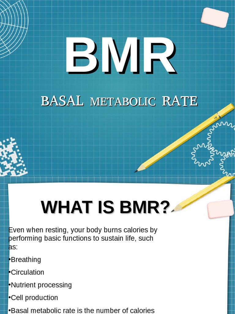 Basal Rate | PDF