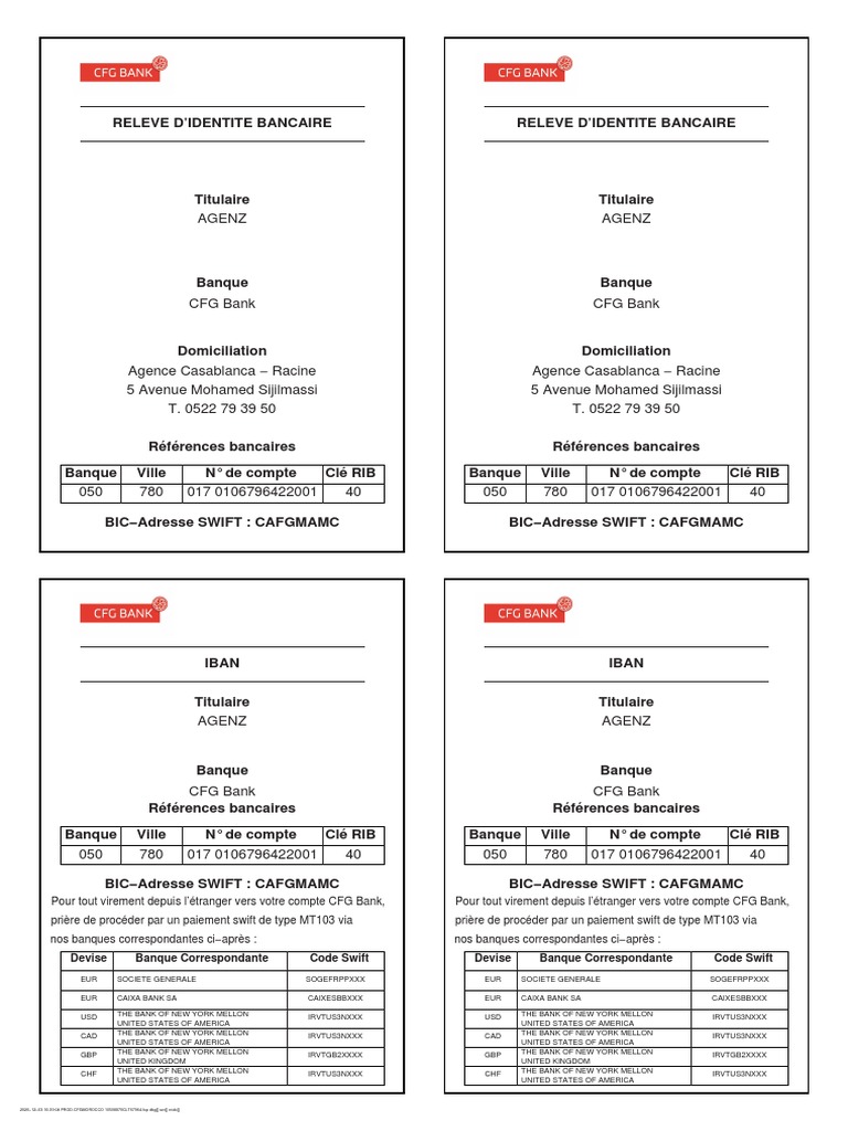 Relevé d'Identité Bancaire CFG Bank | PDF