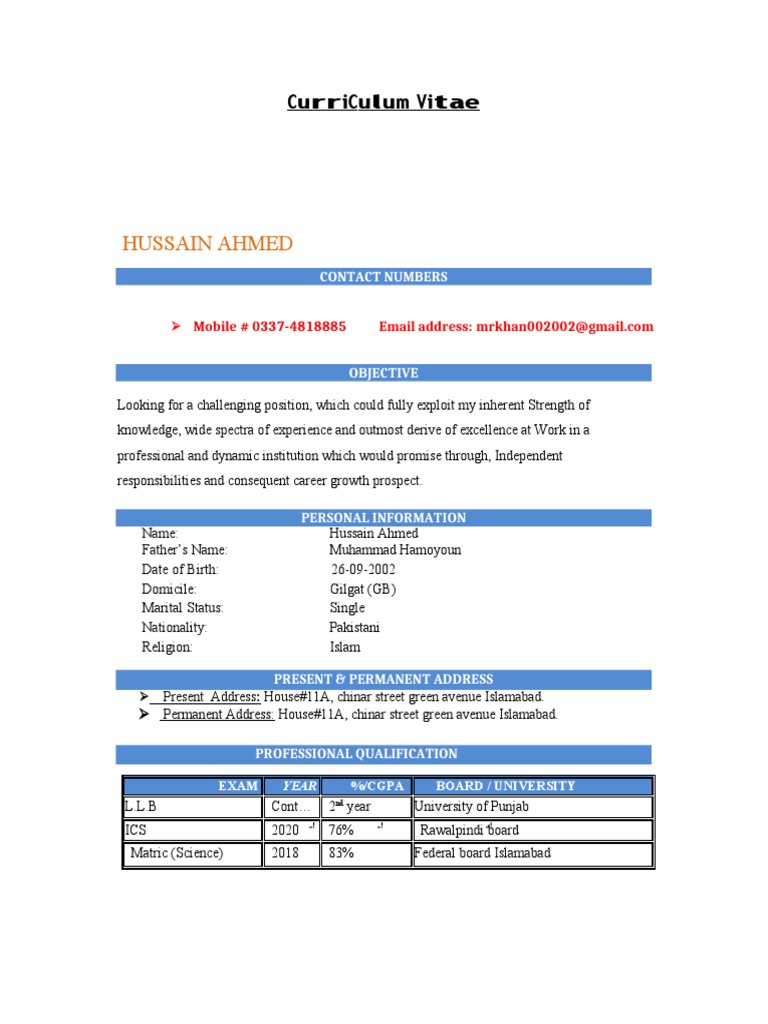 Hussain CV | PDF