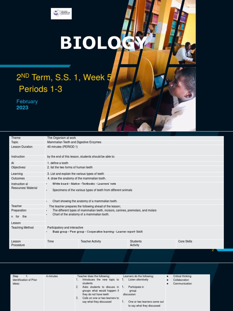 BIOLOGY SS 1 WEEK 5 .pptx E | PDF | Tooth | Digestion