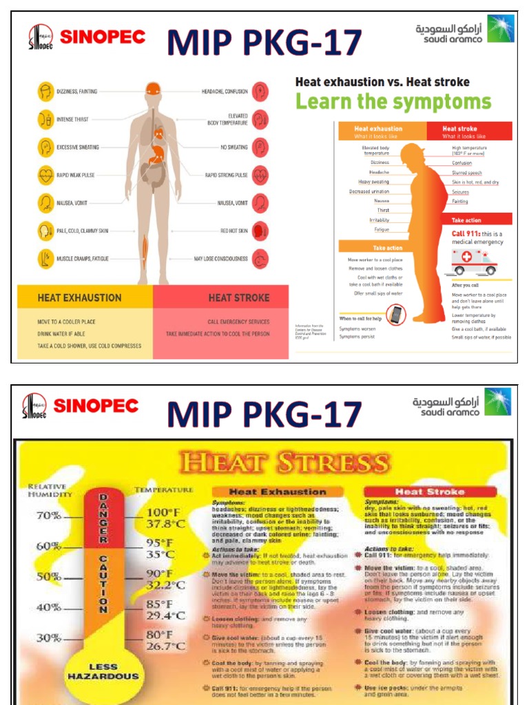Heat Stress Signs 2023 | PDF