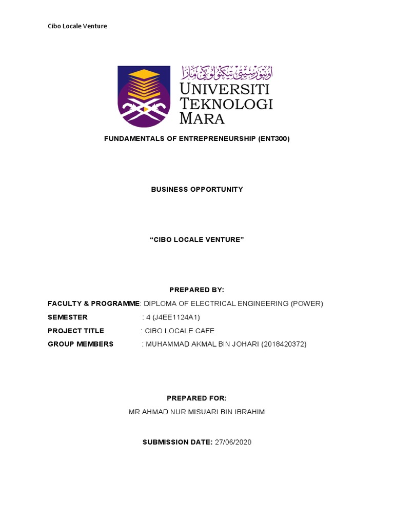 Operational Plan ENT300 | PDF