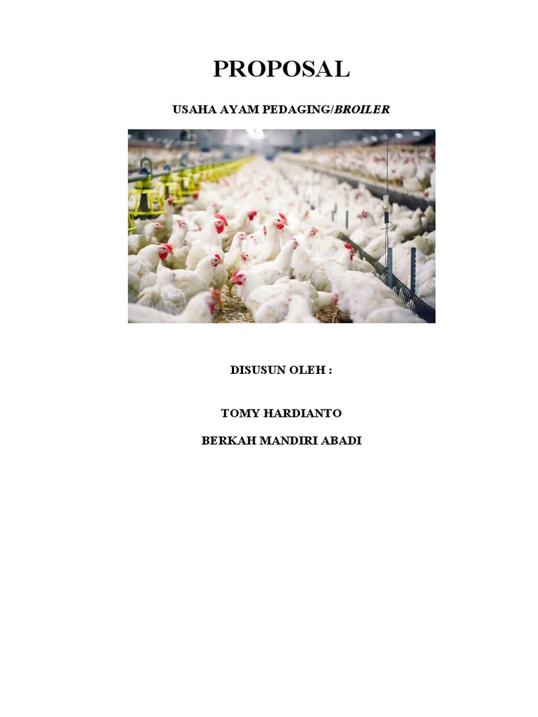 PROPOSAL USAHA AYAM PEDAGING Docx | PDF