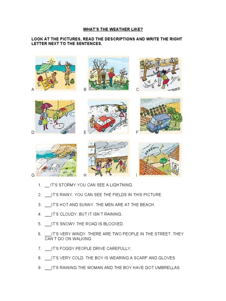 Weather Reading Comprehension Activity | PDF