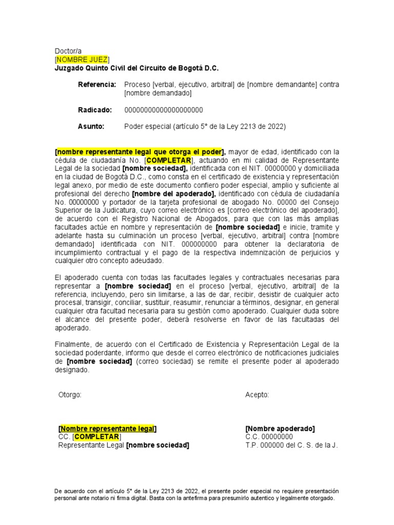 Modelo Poder Especial para Un Proceso Judicial | PDF | Gobierno | Justicia