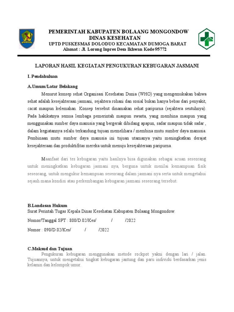 Laporan Tingkat Kebugaran | PDF