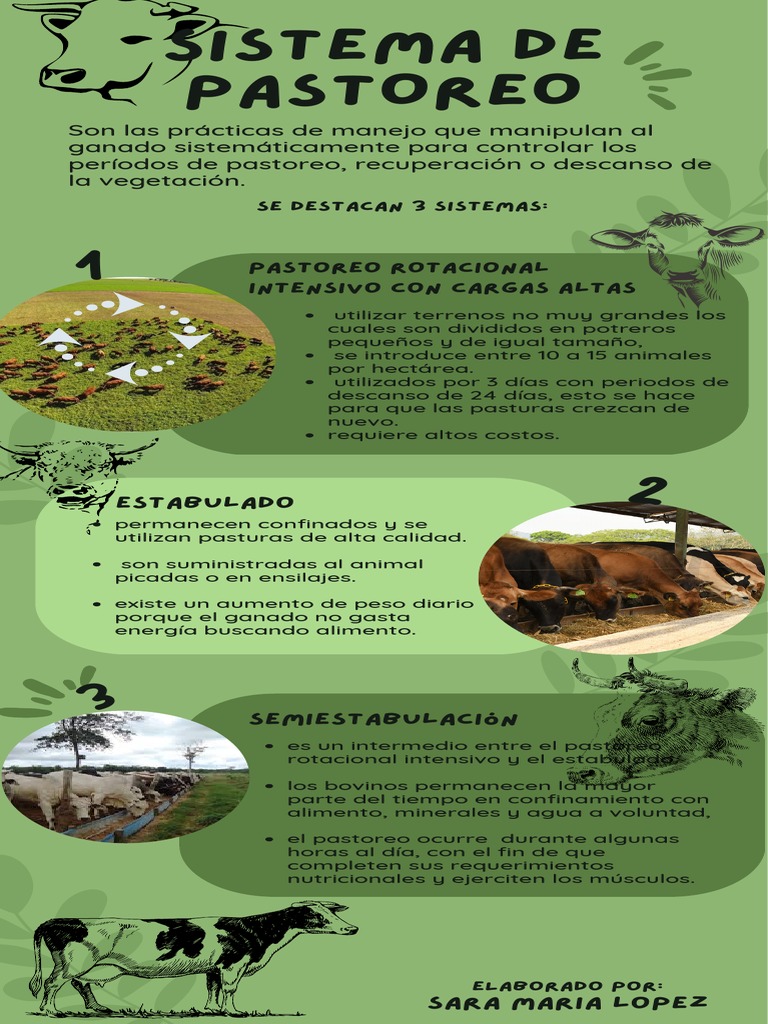 Infografía Sistema de Pastoreo | PDF