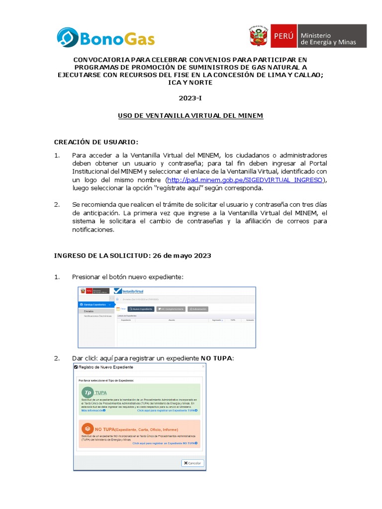 Uso de Ventanilla Virtual MINEM | PDF