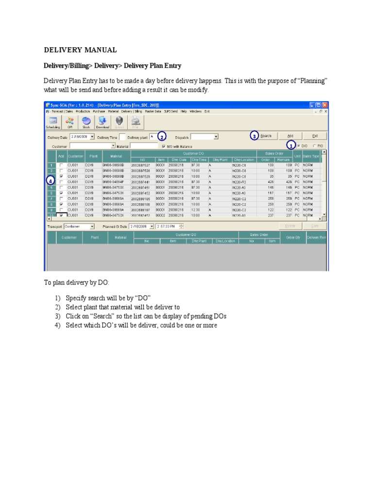Delivery Manual EN | PDF | Computing | Software