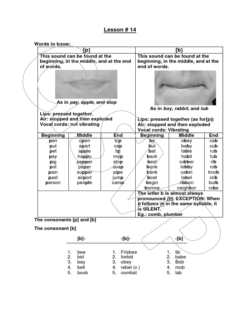Lesson 14 | PDF | Human Communication | Languages