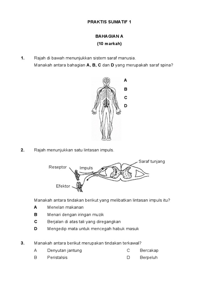 Praktis Sumatif 1 | PDF