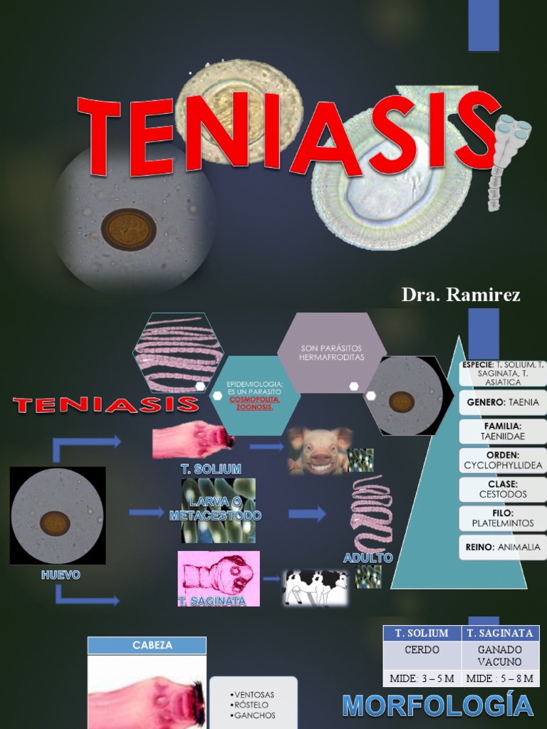 2. TENIASIS, OXURIASIS, TRICOCEFALOSIS (1) | PDF | Diarrea ...