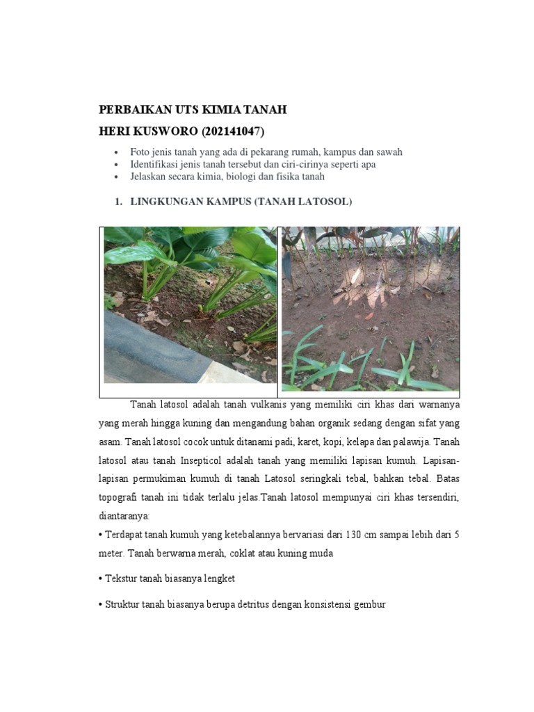Ulasan Tanah Latosol dan Vertisol | PDF | Griya & Taman | Teknologi ...