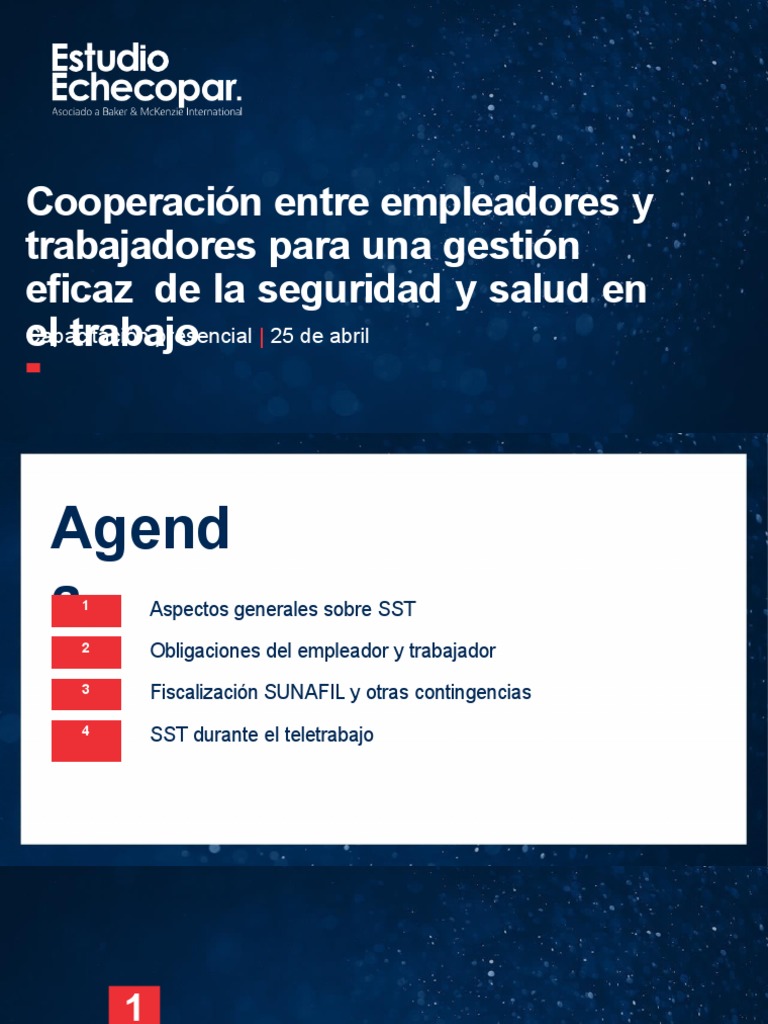 Capacitación - SST (1) 2023 Incluye Teletrabajo | PDF | Seguridad y ...