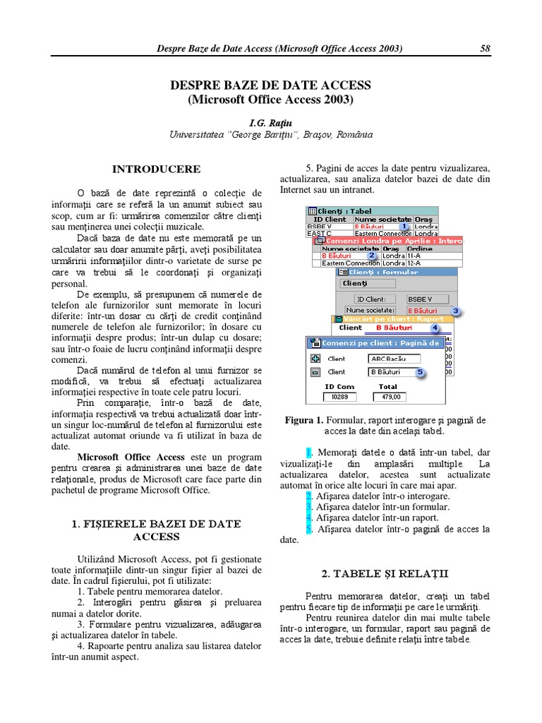 Baze de Date Access | PDF