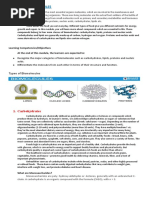 Biomolecules Project Class12 MegaDetailed WithSugar ChiragSharma | PDF ...
