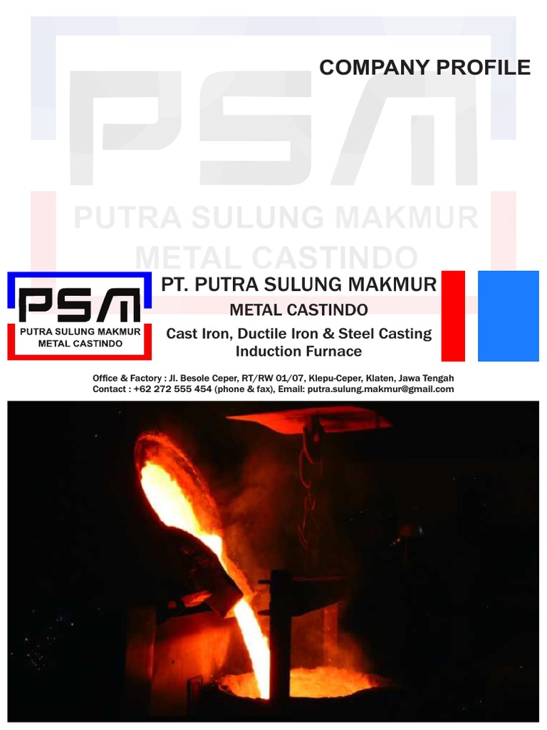 Company Profile PSM PT | PDF