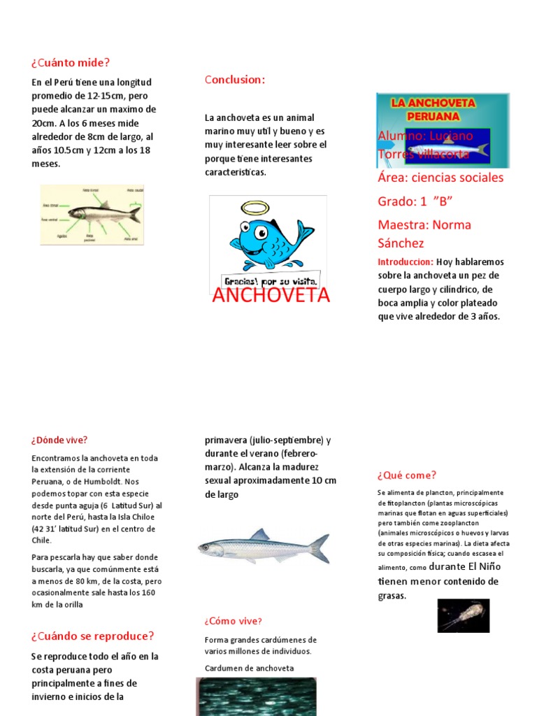 ANCHOVETA | PDF | Perú