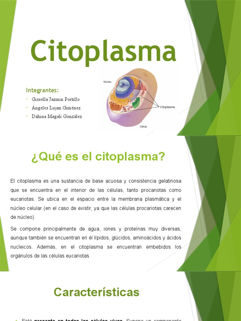 Citoplasma: Funciones y Estructura | PDF | Salud y bienestar