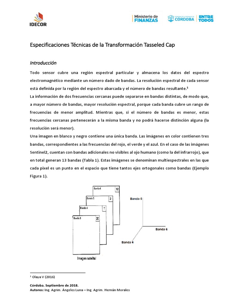 Transformación Tasseled Cap en Sentinel-2 | PDF | Análisis de ...