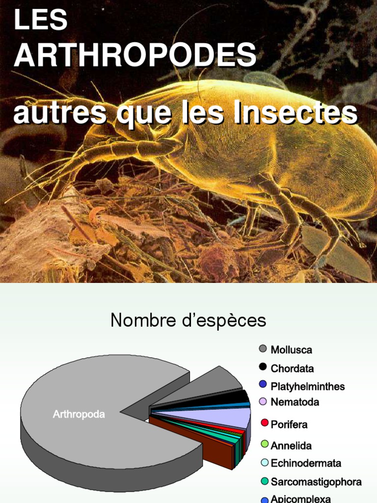 Classification des Arthropodes Mandibulates | PDF | Araignée | Crustacé