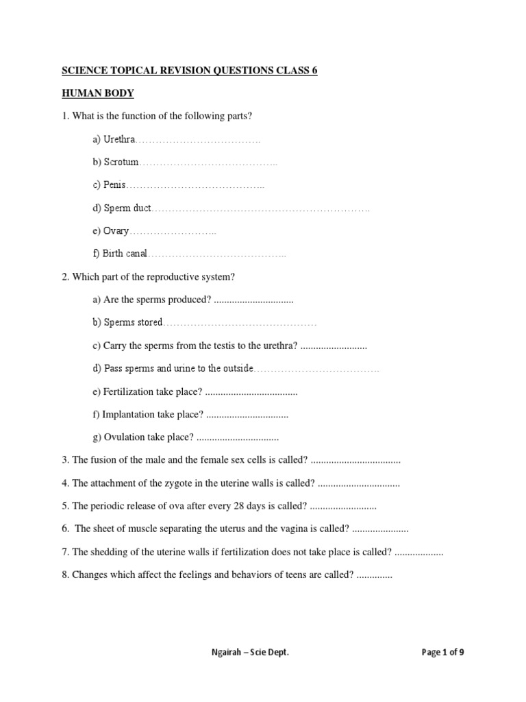 Class 6 Science Revision Guide | PDF | Flowers | Seed