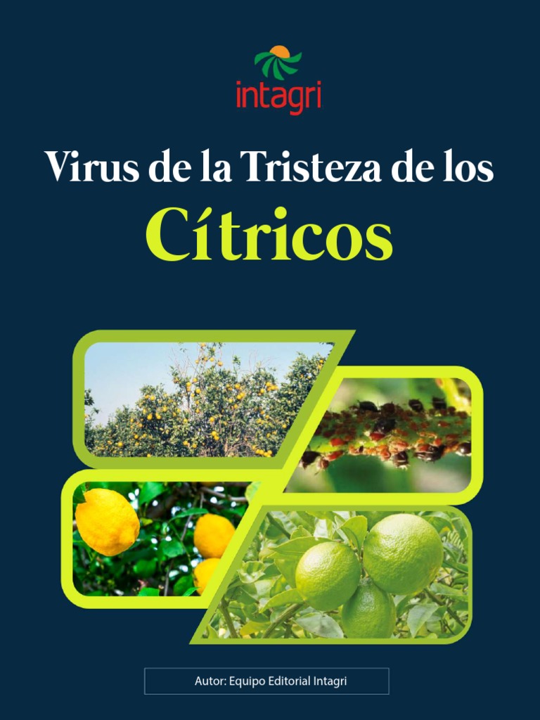 Virus de La Tristeza de Los Citricos | PDF | Agrios | Virus