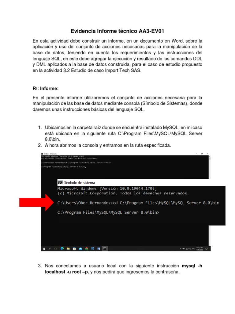 Evidencia Informe técnico AA3-EV01. | PDF