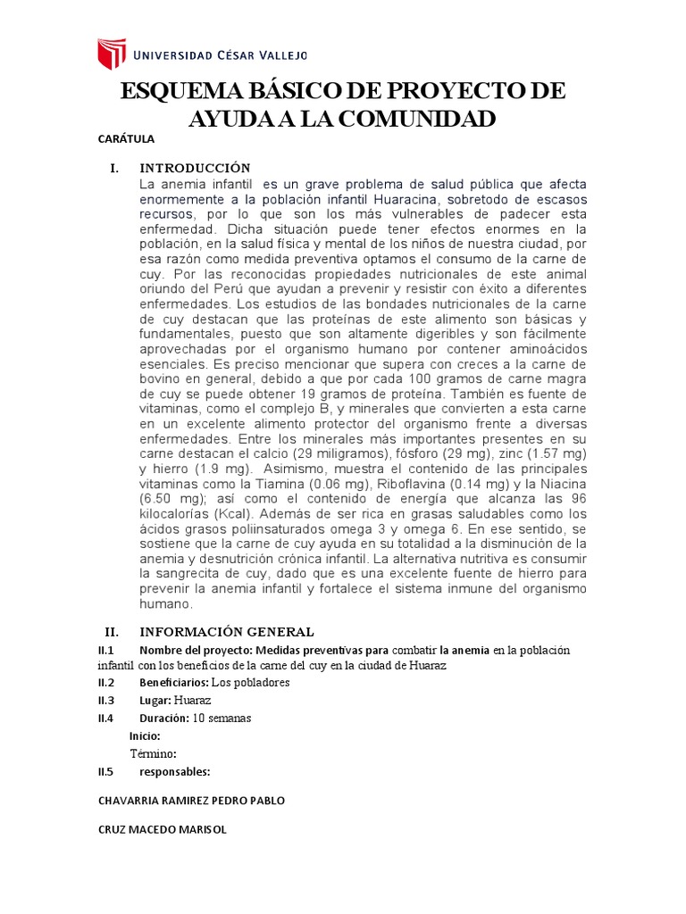 ESQUEMA BASICO DE PROYECTO DE AYUDA A LA COMUNIDAD- (1) | PDF | Carne | Nutrición