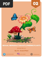Function and Role of Plumule in Seeds | PDF | Seedling | Biology