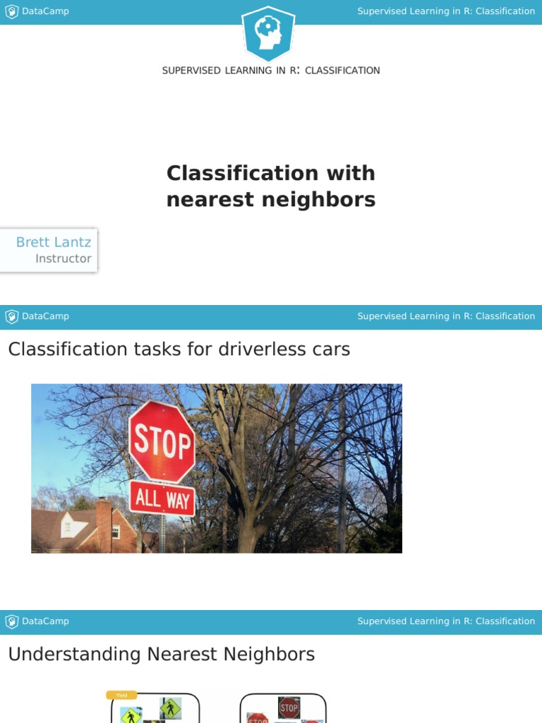 Chapter1 Classification Pdf Statistical Classification Systems Science