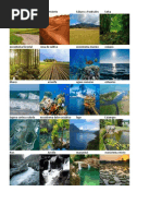 Letra Waka-Waka | PDF