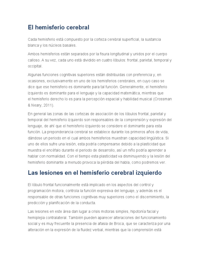El Hemisferio Cerebral Pdf Hemisferio Cerebral Cerebro