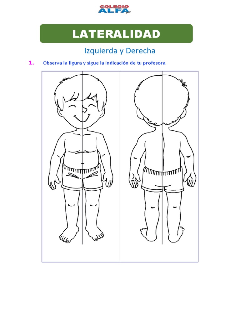 Lateralidad para Segundo Grado de Primaria | PDF | Relaciones ...