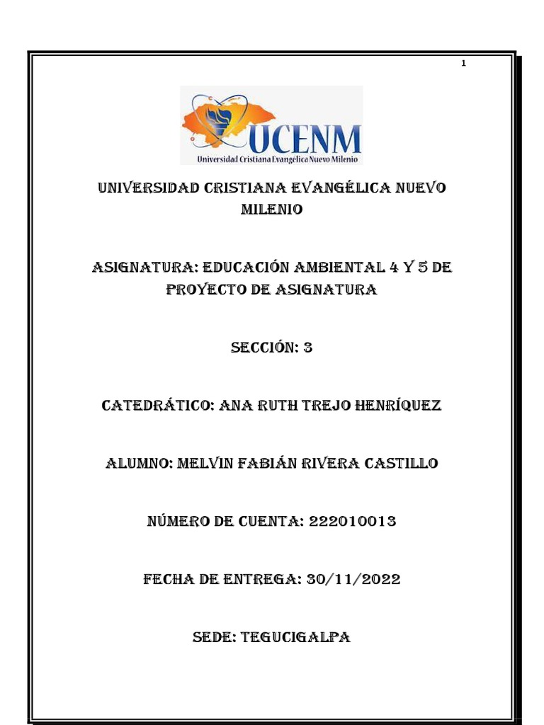 Proyecto Final 4 y 5 | PDF