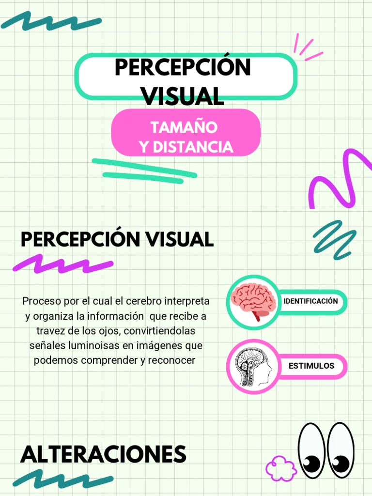 Percepción Visual | PDF | Crecimiento personal y profesional